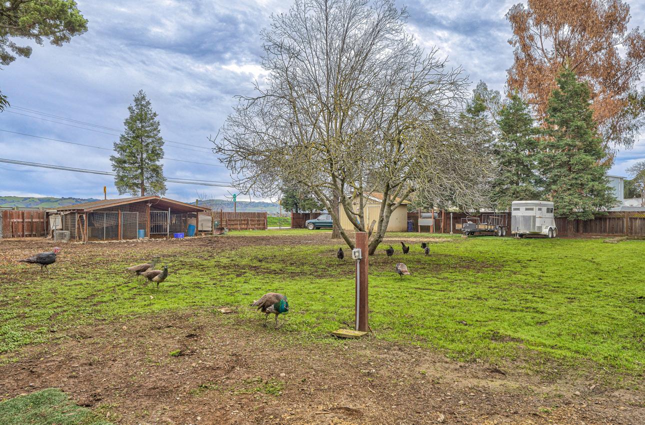 2040 Pacheco Pass Hwy, Gilroy, CA 95020 - 6 Beds | 3 Baths (Contingent ...