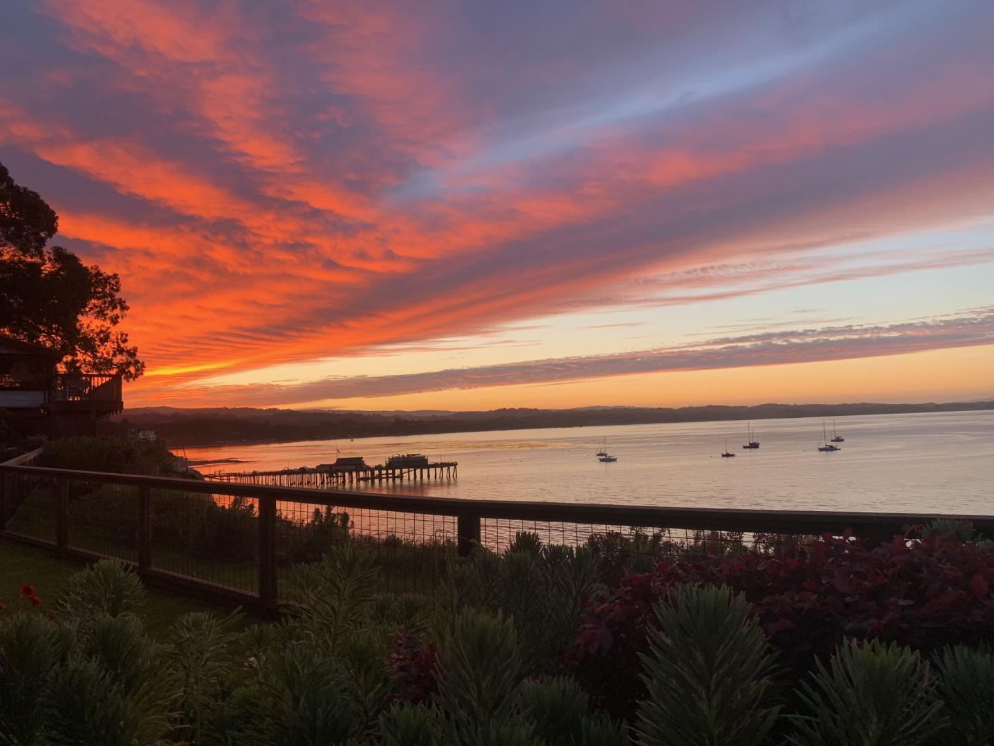 4820 Opal Cliff Dr #202, Capitola, CA 95010 - 2 Beds | 1 Baths (Active ...